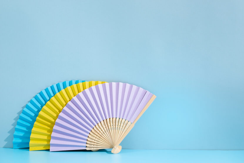 Creative Custom Printed Hand Fans for Promotions